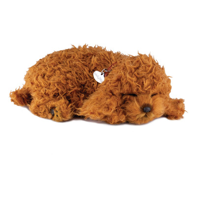 Perfect pets toy store