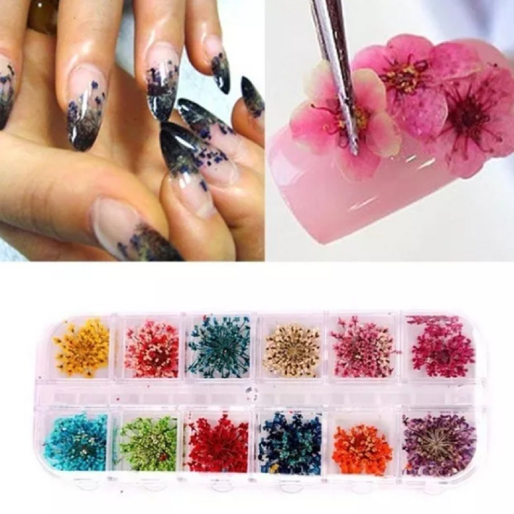 12 Flores Seca Decoração Unhas Salão Manicure Oferta R 13 90 Em