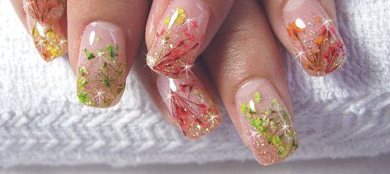 36 Flores Secas Para Unha Gel Flores Para Encapsulamento R 29 99 Em