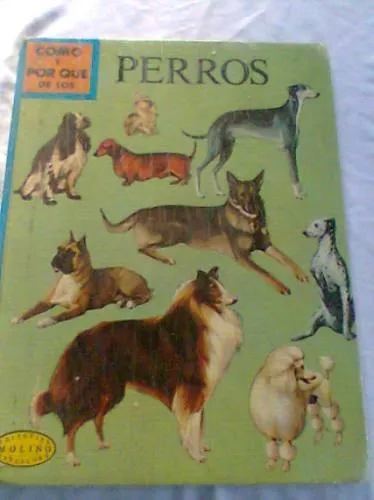 Como Y Por Que De Los Perros,el Setter,el Boxer,el Setter | Cuotas sin ... Como Y Por Que De Los Perros,el Setter,el Boxer,el Setter | Cuotas sin ...