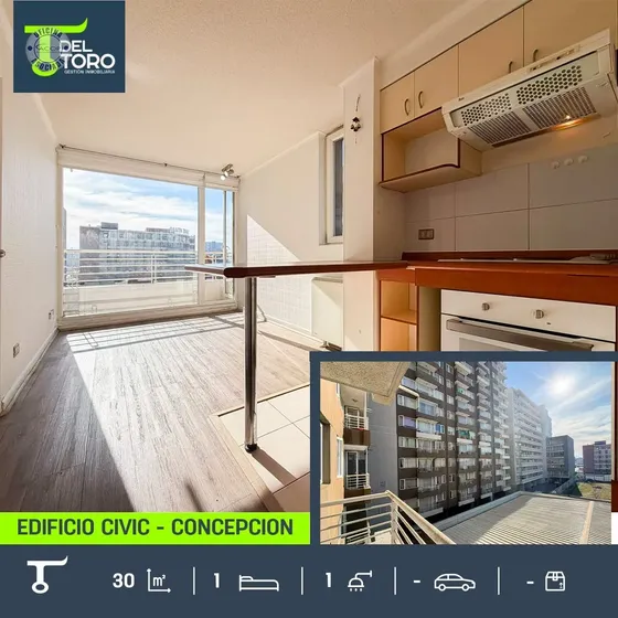 Departamento Arriendo 2 Dorm Costanera Biobio Concepcion | Mercado Libre 🏠