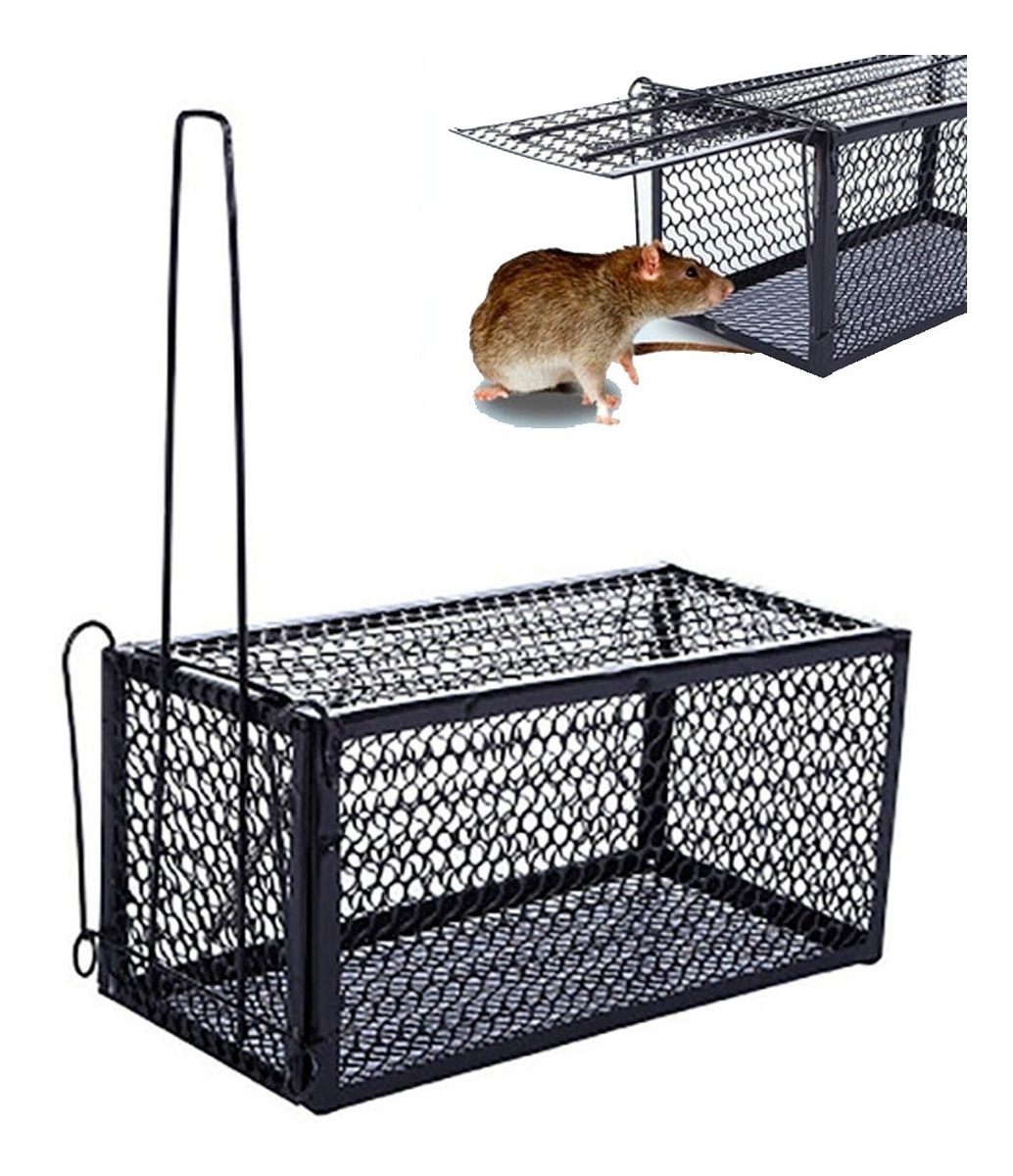 Ratoeira Média Para Capturar Ratos Ratazanas Camundongos | Parcelamento ... Ratoeira Média Para Capturar Ratos Ratazanas Camundongos | Parcelamento ...