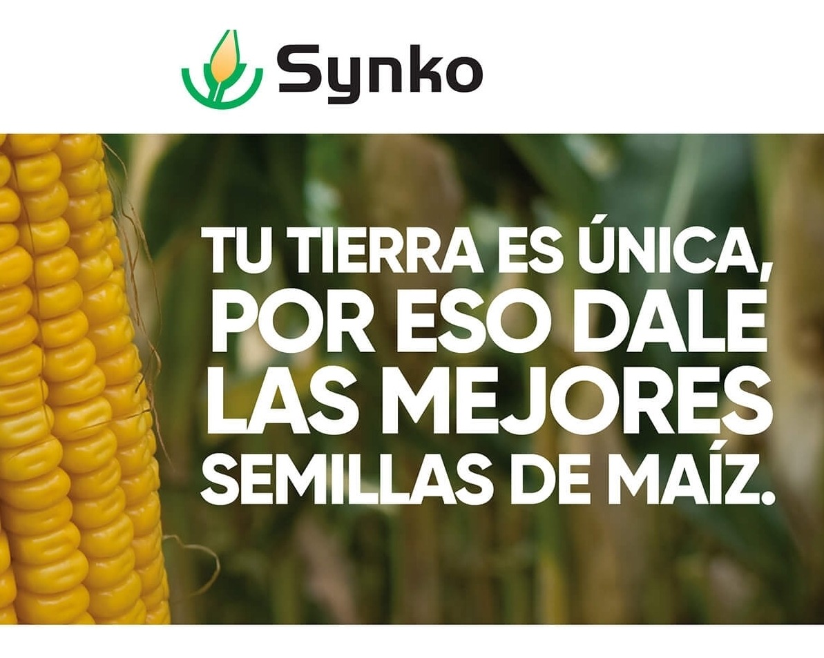 Semilla De Maiz Hibrido Synko 1kg | Mercado Libre Semilla De Maiz Hibrido Synko 1kg | Mercado Libre