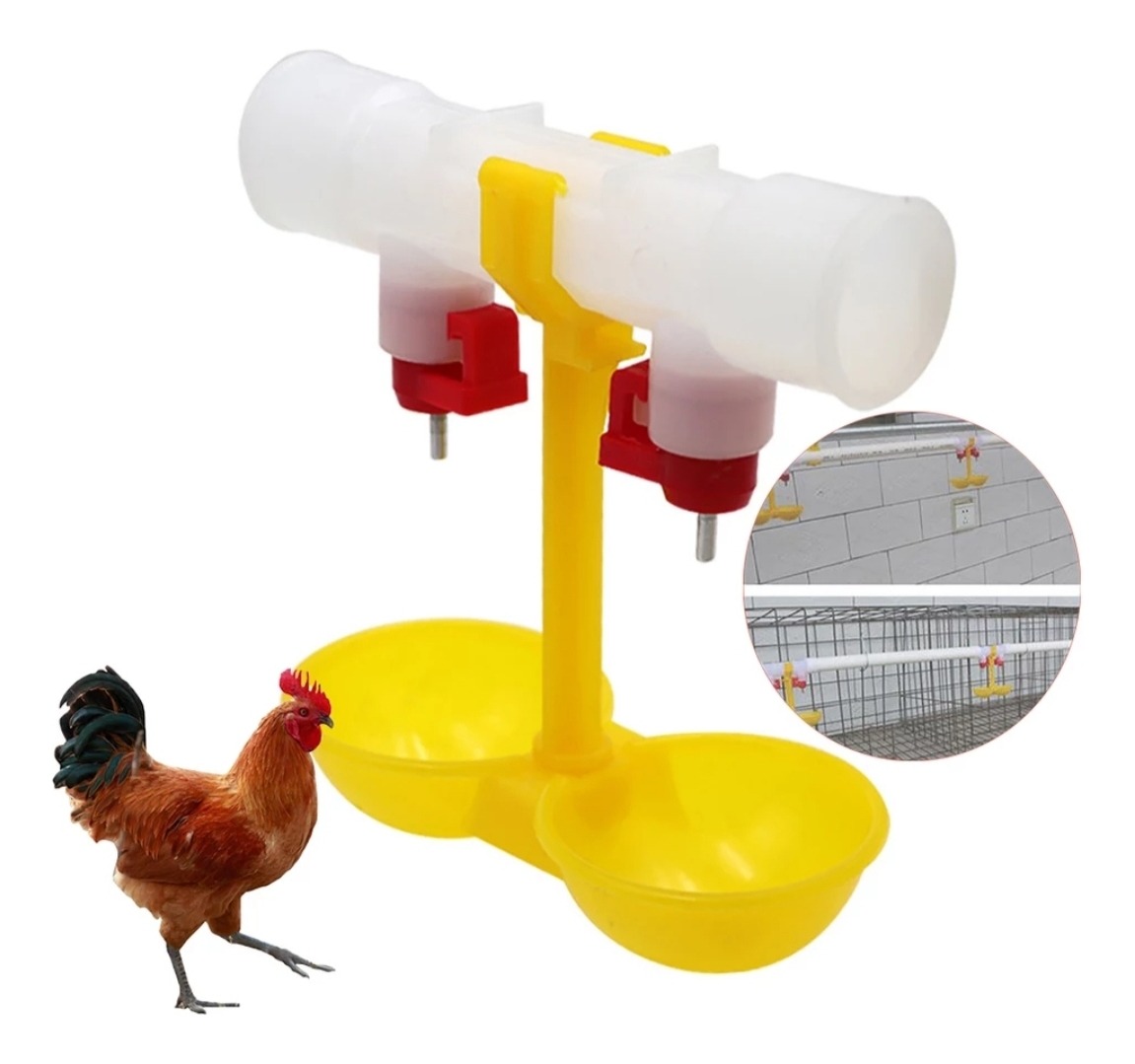 Bebedouro Automático Para Aves Codornas Galinhas 1 Unidade | MercadoLivre Bebedouro Automático Para Aves Codornas Galinhas 1 Unidade | MercadoLivre