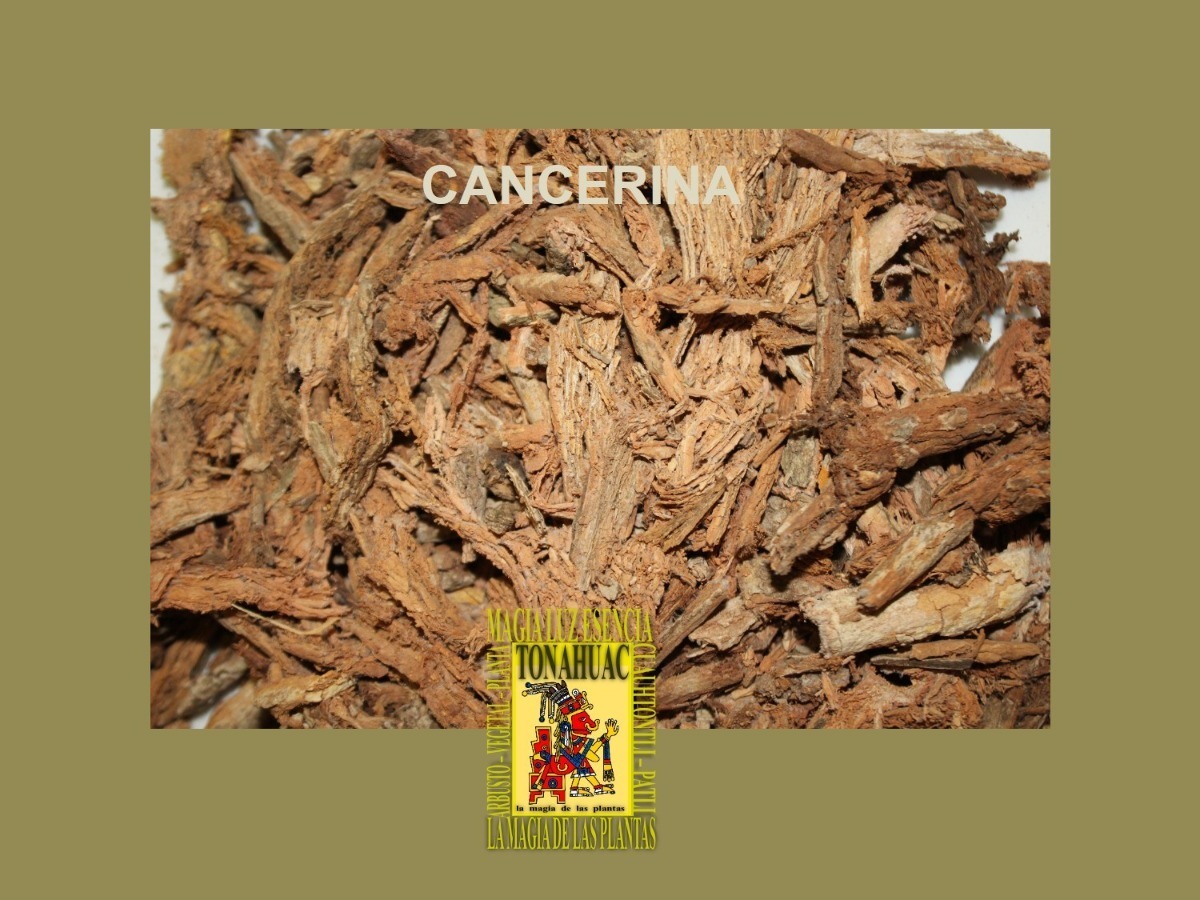 Te Cancerina 250gr Planta Organica Seca Deshidratada | Envío gratis Te Cancerina 250gr Planta Organica Seca Deshidratada | Envío gratis