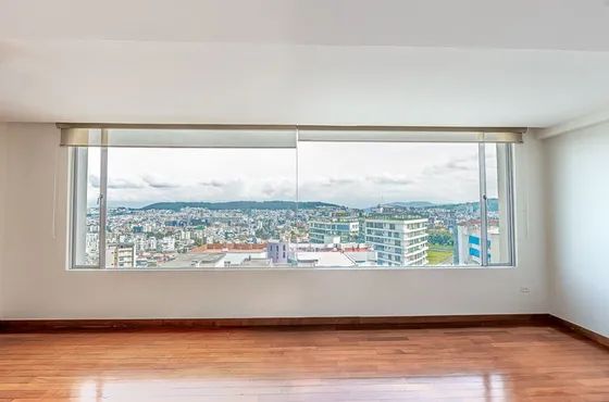 Salon De La Virgen Oton De Velez Quito | MercadoLibre.com.ec