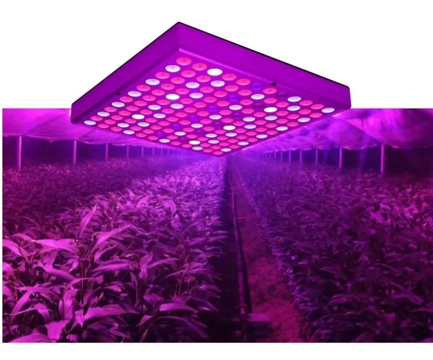 Lampara Luz Uv Invernadero Cultivo Indoor Espectro Completo | Meses sin ...