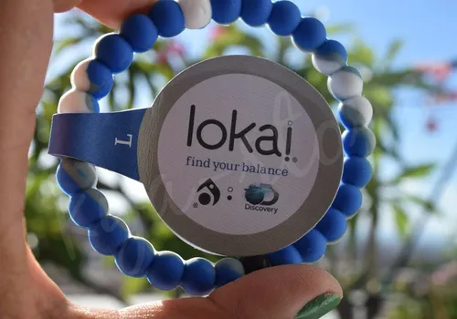 Brazalete Pulsera Lokai Shark Original Talla (s,m,l) | Meses sin interés Brazalete Pulsera Lokai Shark Original Talla (s,m,l) | Meses sin interés