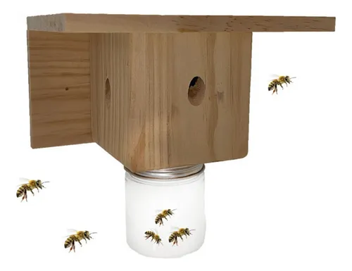 Trampa De Madera Para Abejas, Carpintero, Para Exterior, Tra | Meses ... Trampa De Madera Para Abejas, Carpintero, Para Exterior, Tra | Meses ...