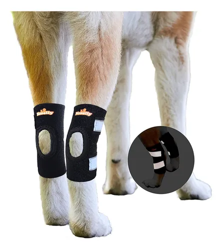 Corvejón Para Patas De Perro Neoally Para Soporte De Patas T | Meses ...