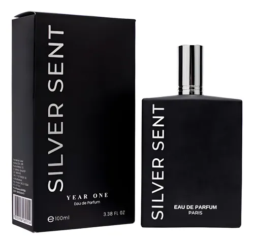 Perfume Masculino Silver Sense Eau De Toilette 100ml | Parcelamento sem ...