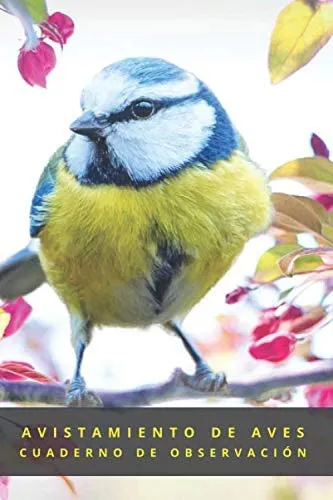 Libro: Cuaderno De Avistamiento De Aves: Diario De Observaci | Meses ... Libro: Cuaderno De Avistamiento De Aves: Diario De Observaci | Meses ...