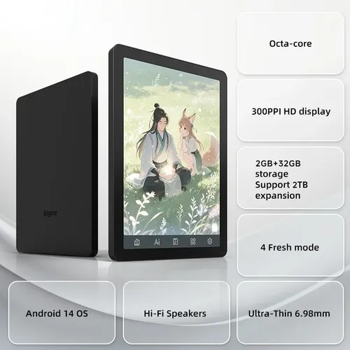 Lector De Libros Electrónicos Bigme B6 6 Color 2+ | Meses sin interés