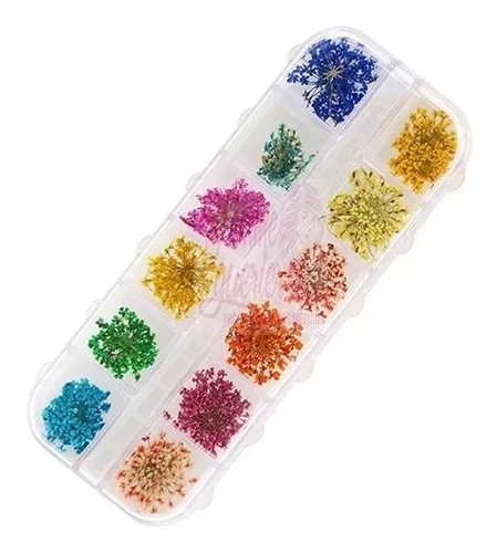 Flores Secas Encapsulamento Decoração Unha Art Nails Galhos Mercadolivre