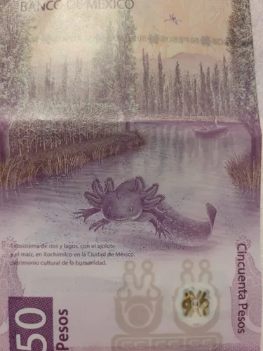 comprar Billete De 50 Pesos De Ajolote Con Error De Impresion comprar Billete De 50 Pesos De Ajolote Con Error De Impresion