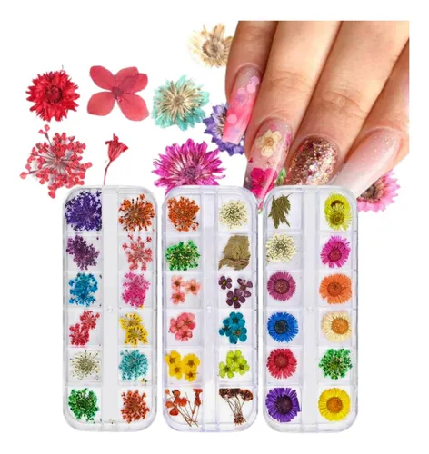 Flores Secas Para Decoração E Encapsulamento De Unhas Mercadolivre