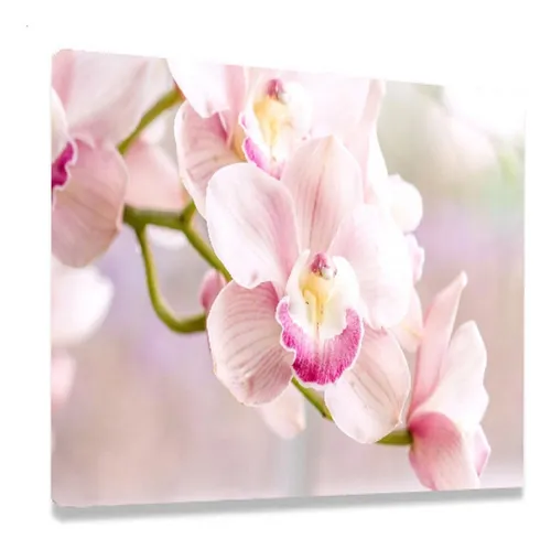 Cuadro Decorativo Ecodecor Quadro Decorativo Em Tela Sala Quarto