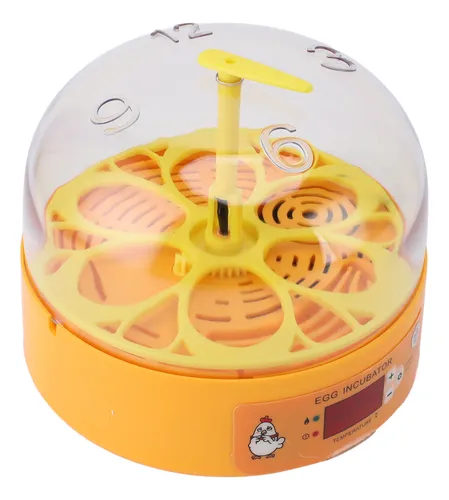 Incubadora De Ovos 6 Ovos Smart Hatchery | Frete grátis Incubadora De Ovos 6 Ovos Smart Hatchery | Frete grátis