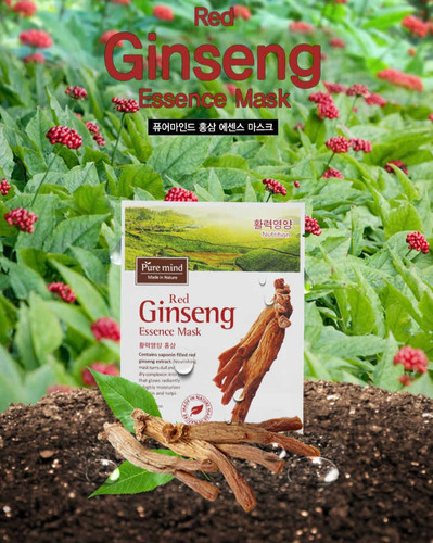 Bidameun Mascarillas Coreanas Ginseng Rojo And Aloe Vera 20pz Meses