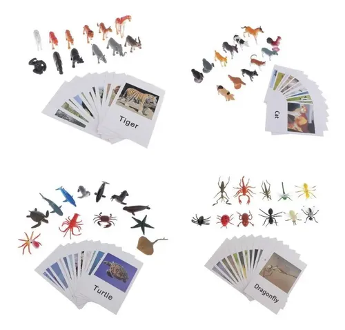 B 4 Juegos De Insectos, Animales, Modelo De Tarjeta, Juguete | Cuotas ...