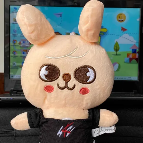 Stray Kids De Peluche Skzoo: Puppym , Kpop Cachorro Stray Kids De Peluche Skzoo: Puppym , Kpop Cachorro