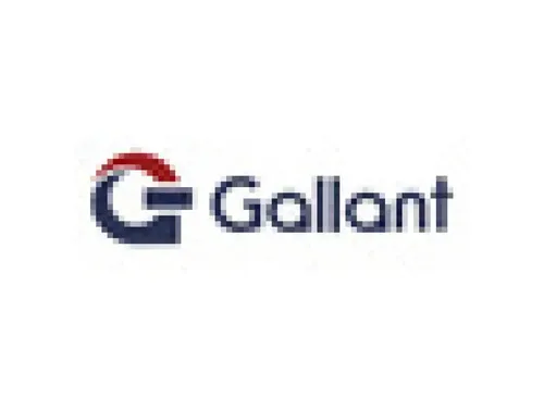 Gallant | Loja Oficial