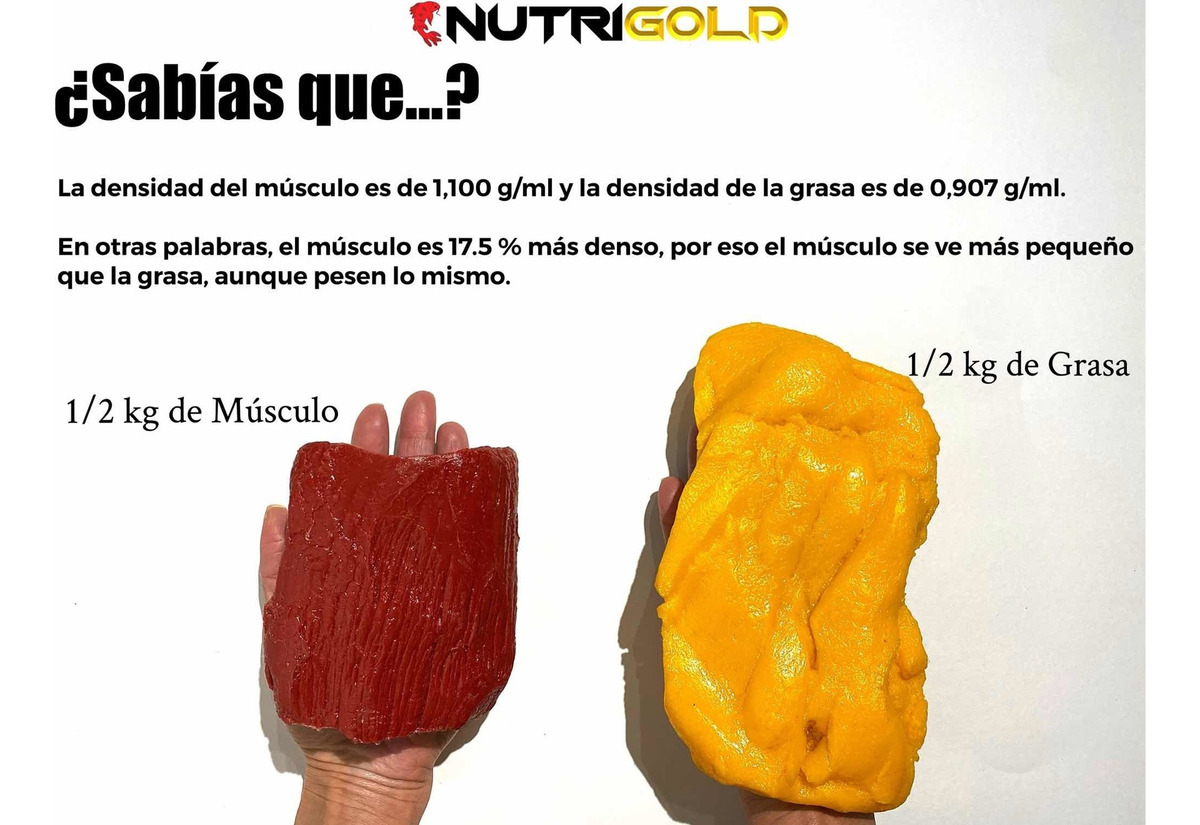 Réplica De Grasa Y Músculo 1/2 Kg | Meses sin intereses Réplica De Grasa Y Músculo 1/2 Kg | Meses sin intereses