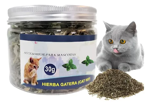 Hierba Gatera Catnip Gato Juguetes Catnip Hierba Gatos 30gr | Cuotas ... Hierba Gatera Catnip Gato Juguetes Catnip Hierba Gatos 30gr | Cuotas ...