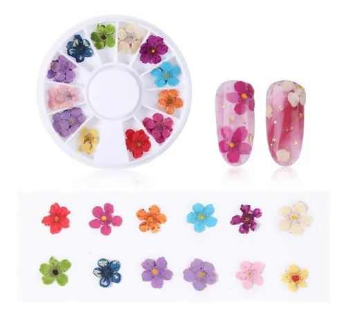 Flores Secas Margarida Encapsulamento Decoração Unha Nails