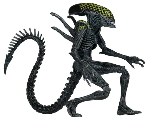 Grid Alien Do Alien Vs Predador Neca Avp 20 Cm Alienigena Grid Alien Do Alien Vs Predador Neca Avp 20 Cm Alienigena
