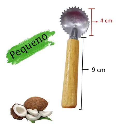 Ralador E Raspador De Coco Manual Galvanizado | MercadoLivre