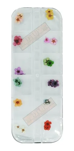 Kit 12 Flores Seca Decoração Unhas Gel Salão Promoção Mercadolivre