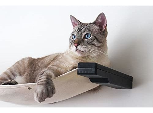 Catastrophicreations The Lounge Cat Hamaca 34 Pulgadas Ony Cuotas