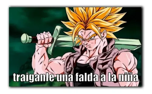 Cuadros Decorativos Memes Traiganle Una Falda A La Niña Envío Gratis