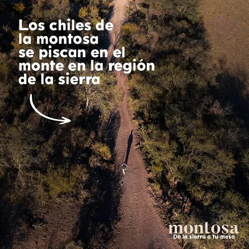 Chile Chiltepín Piquín De La Sierra Seco Polvo 1 Kg Montosa En Venta En Hermosillo Sonora Por