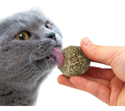 Bolas Hierba Gatera Catnip Para Gatos Pack X5 | Cuotas sin interés Bolas Hierba Gatera Catnip Para Gatos Pack X5 | Cuotas sin interés