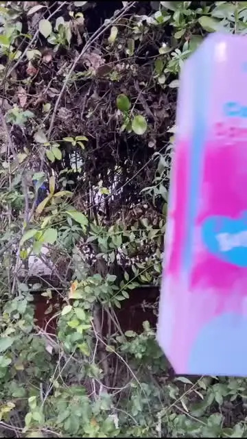 Extintor Humo Revelacion De Genero Cañon Polvo Spray Color | Cuotas sin ...