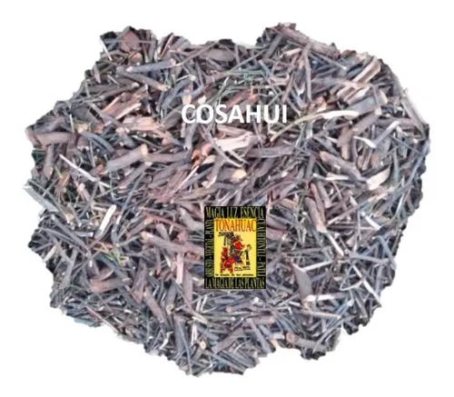 Cosahui 250gr Te Organica Planta Seca Cosahui 250gr Te Organica Planta Seca