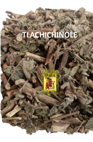 Tlachichinole 250gr Te Planta Organica Seca | LOGA1898393 Tlachichinole 250gr Te Planta Organica Seca | LOGA1898393