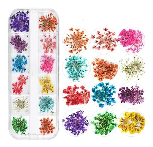Flores Secas Encapsulamento Unhas Decoração Cores Uv Led Mercadolivre