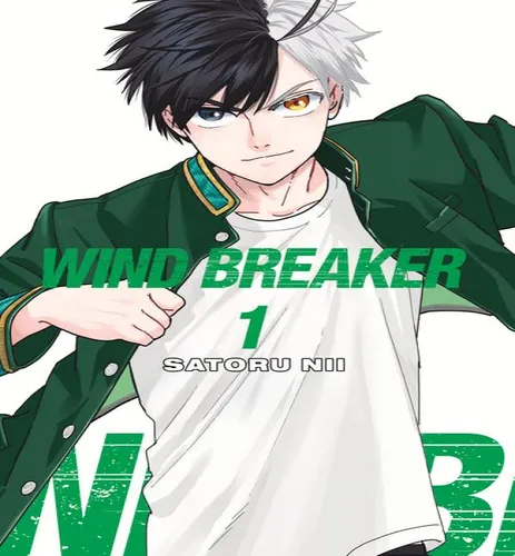 Libro Wind Breaker V01 - V01 | Envío gratis