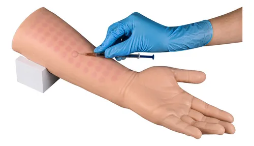 Brazo De Práctica De Inyección Intradérmica | Cuotas sin interés Brazo De Práctica De Inyección Intradérmica | Cuotas sin interés