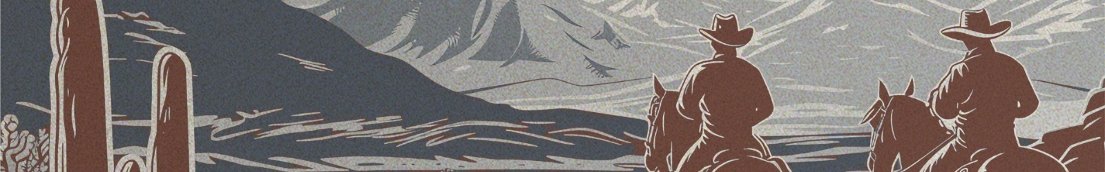 Sombrero Vaquero Texana Horma Sinaloa Lana Fina 8x Goose | Meses sin ...