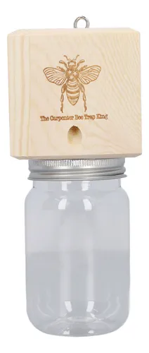 Trampa Para Abejas De Carpintero De Madera, Segura Para CoLG | Cuotas ... Trampa Para Abejas De Carpintero De Madera, Segura Para CoLG | Cuotas ...