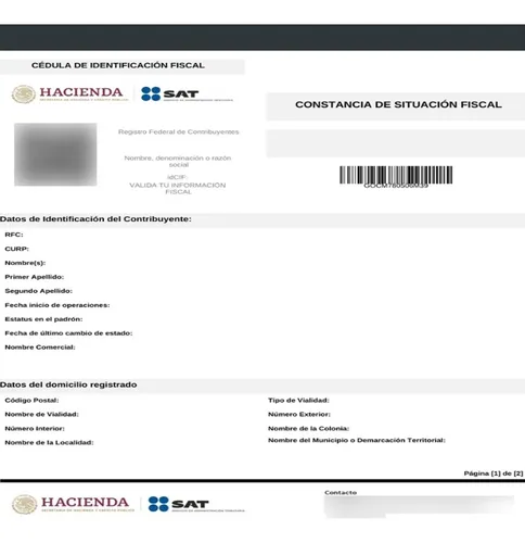 Constancia De Situación Fiscal Sat - Rfc | MercadoLibre