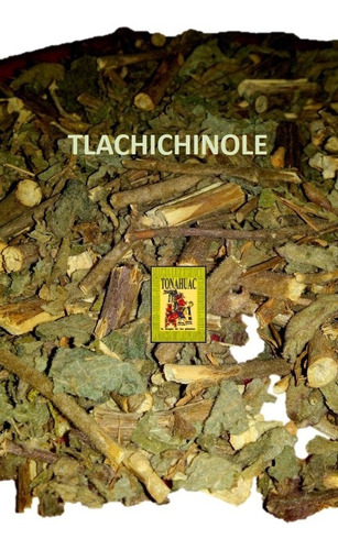 Tlachichinole 250gr Te Planta Organica Seca | LOGA1898393 Tlachichinole 250gr Te Planta Organica Seca | LOGA1898393