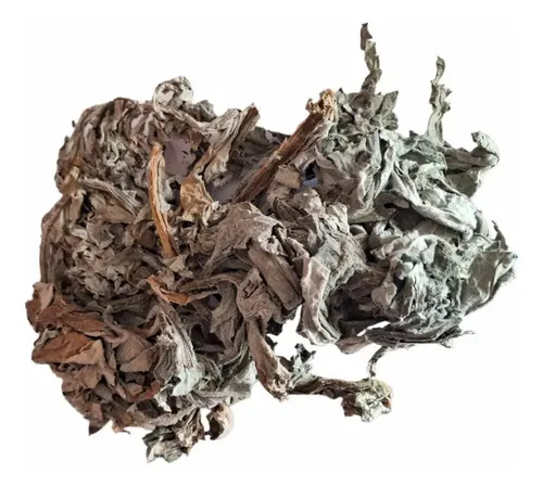 Hoja Alcachofa Planta Medicinal 250 Gr | Meses sin interés