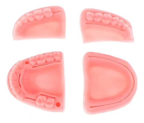Pad Para Práctica De Sutura E Insiciones Dental 4 Piezas Meses Sin