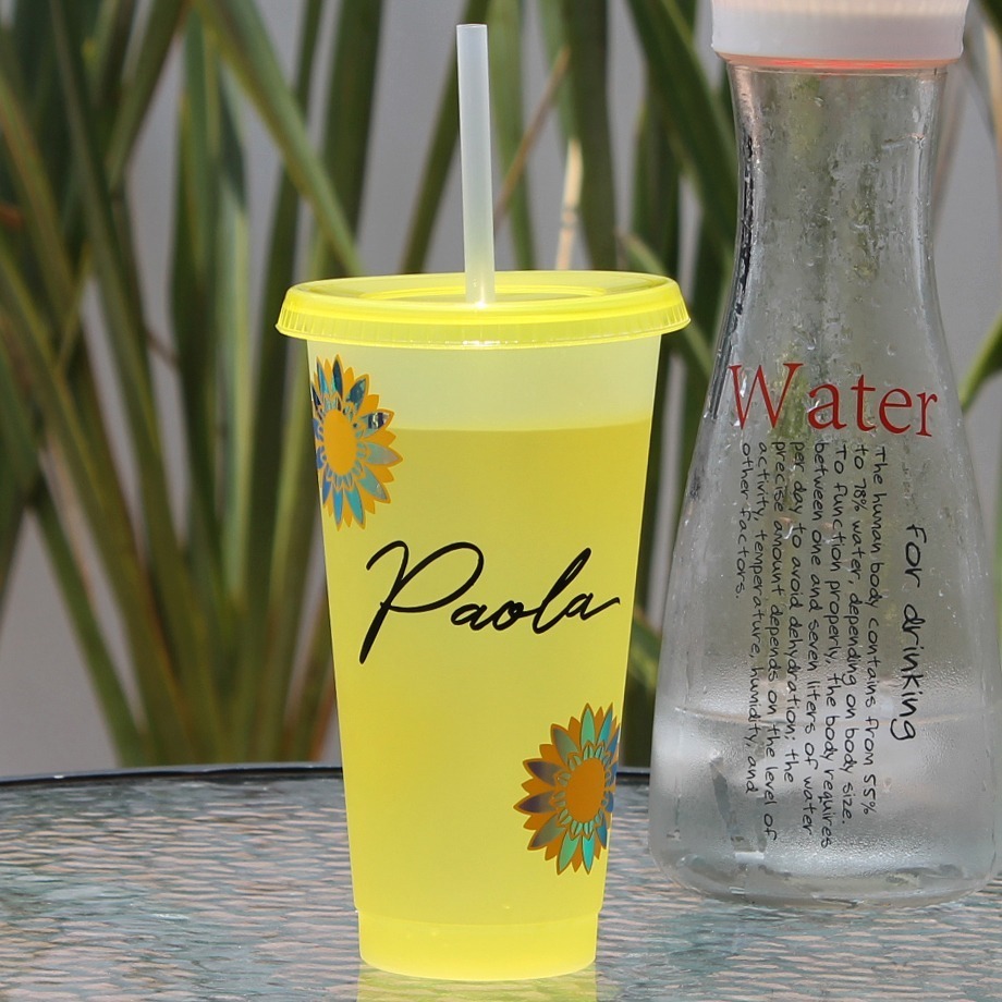 Vaso Mágico Personalizado 40 Unidades Meses Sin Intereses