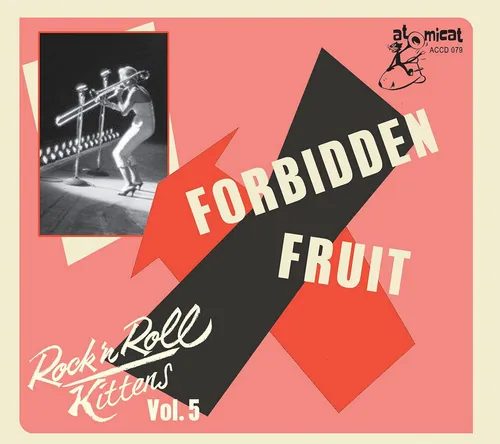 Cd: Rock & Roll Kitten Vol. 5: Fruta Proibida (vários Artist | Frete grátis